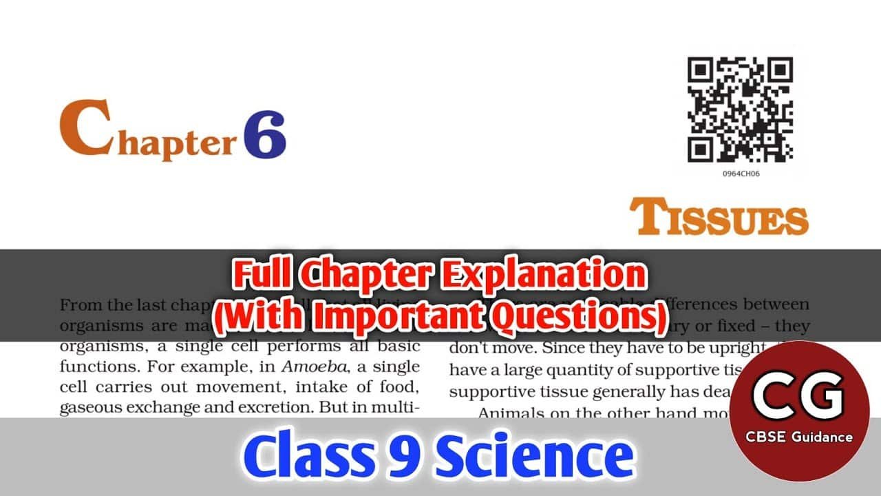 Tissues Class 9 Science Important Questions - CBSE Guidance
