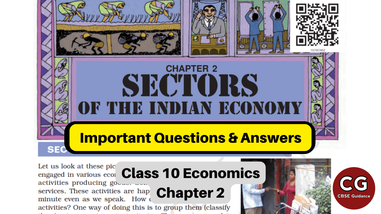 Sectors of the Indian Economy: Class 10 Important Questions & Answers ...