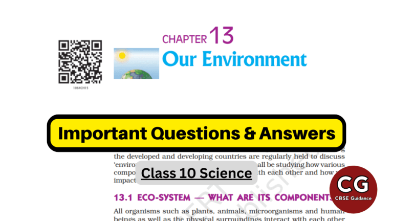 Our Environment Class 10: Important Questions & Answers - CBSE Guidance