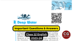 Deep Water Class 12 Important Questions And Answers - CBSE Guidance