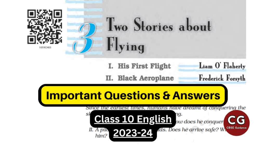 two-stories-about-flying-class-10-important-questions-answers-cbse