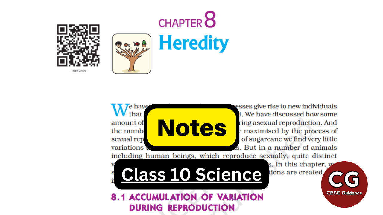 Heredity Class 10 Notes: Simple And Easy To Grasp - CBSE Guidance