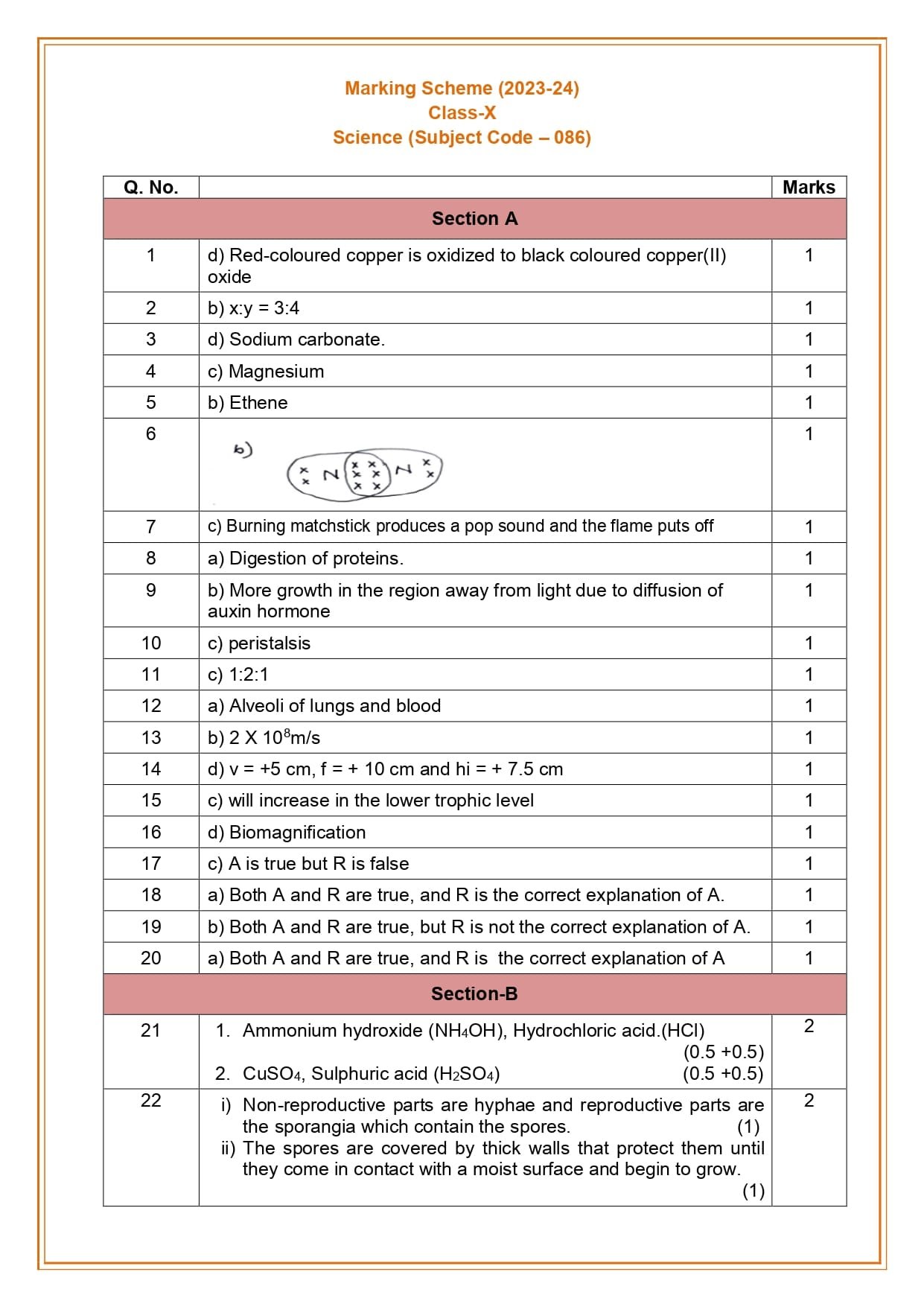 Stress-Free Science Prep: Download Class 10 Sample Paper Solutions ...