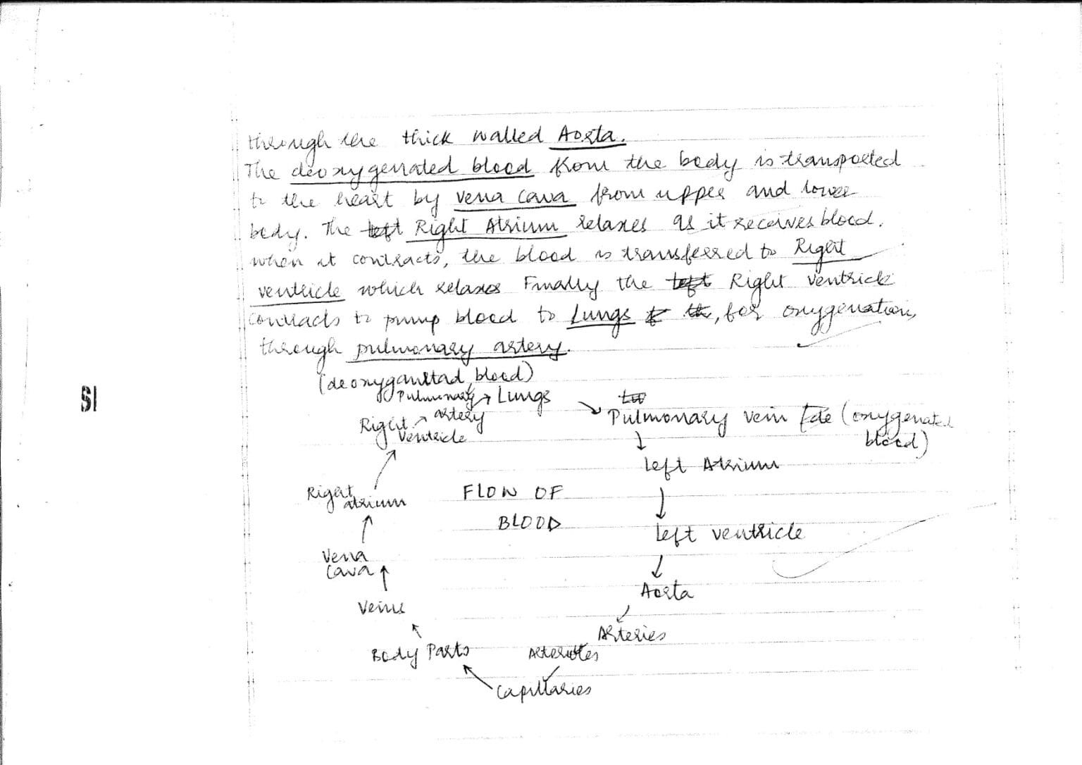 Learn Like A Topper: Analyze The 2023 Class 10 Science Topper's Answer ...