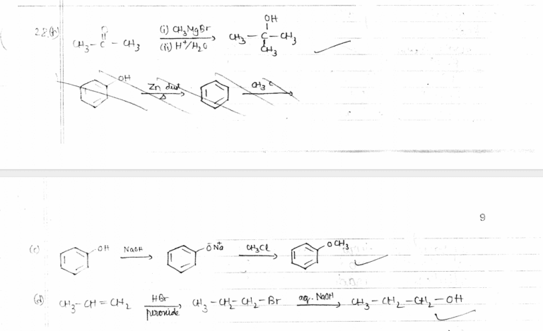 Unlocking A+ Secrets: A Peek Into A Class 12 Chemistry Topper's Answer ...
