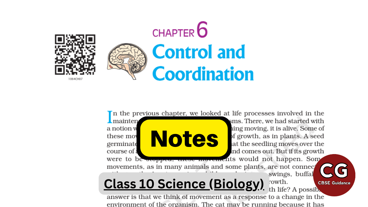Class 10 Control And Coordination Notes Simplified And Easy To