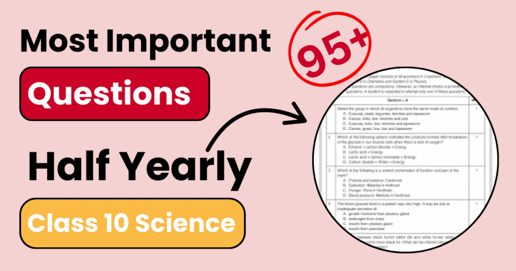 Most Expected Questions For Class 10 Science Half-Yearly Exams - CBSE ...