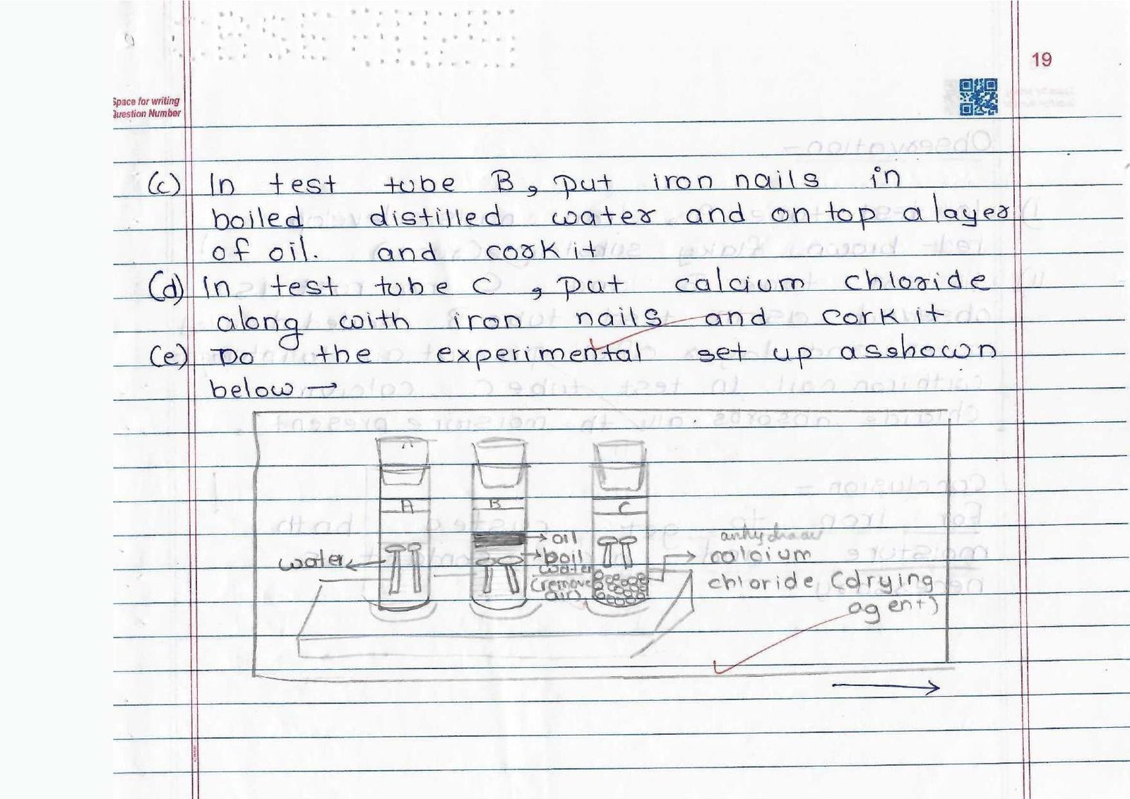 Score 80/80: CBSE Class 10 Science Topper Answer Sheet 2025 PDF ...
